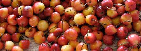 Stoning and the Cherry Pickers - bethinking.org