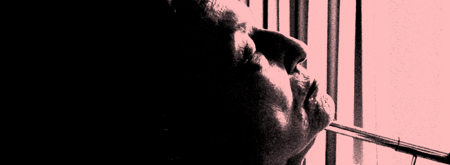 Epistemology - What is it to Know? - Part 1 - bethinking.org