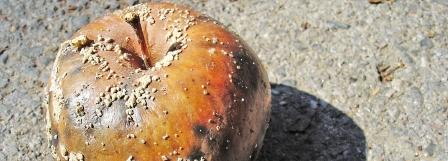 A Long Way East of Eden - Part 1 - bethinking.org